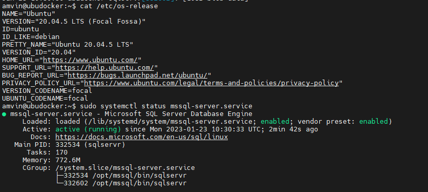 Specific details missing that render the procedure useless. · Issue #8457 · MicrosoftDocs/sql ...