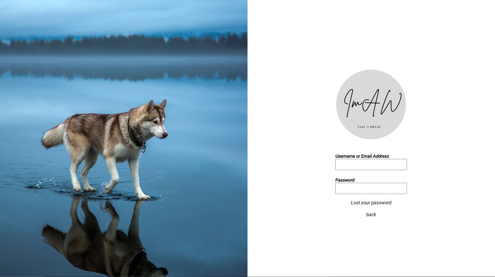GitHub - ALIenWe/Login-interface.github.io: Login interface
