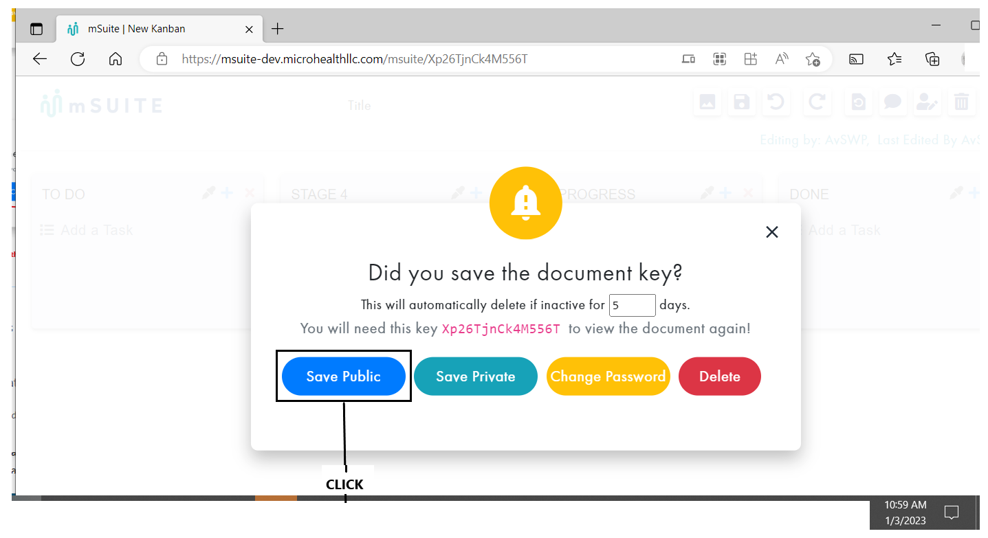 Save Document Key modal AND Password Protect modal should consistently display/function ...