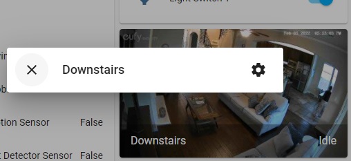 Error Streaming on Click · Issue #257 · fuatakgun/eufy_security · GitHub