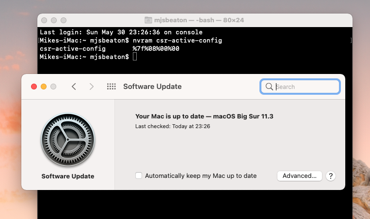Correct values to use for disable SIP · Issue #1657 · acidanthera/bugtracker · GitHub