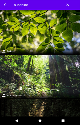 GitHub - shaykhshaya/Unsplash-Image-Search