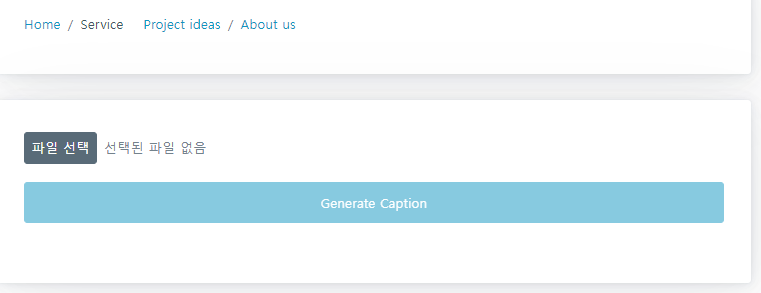 GitHub - devseungil/Image-caption-project