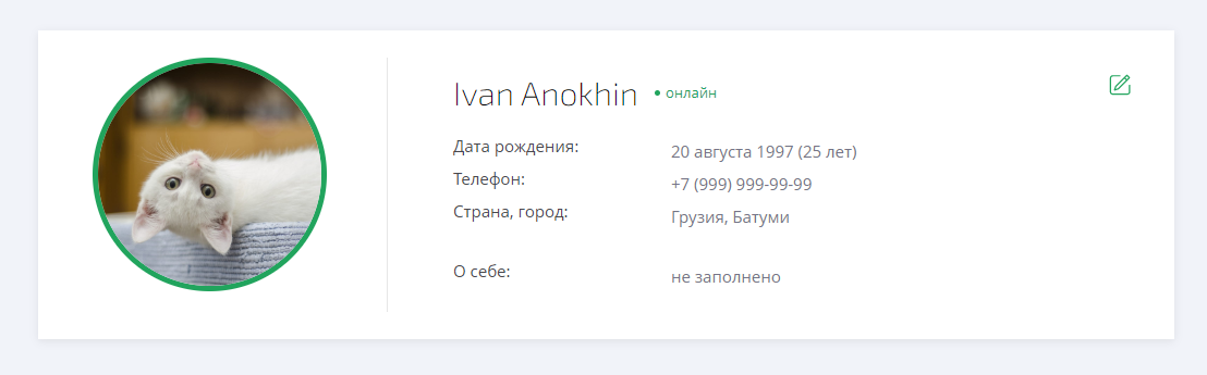 GitHub - IvanAnokhin/Zerone-Network