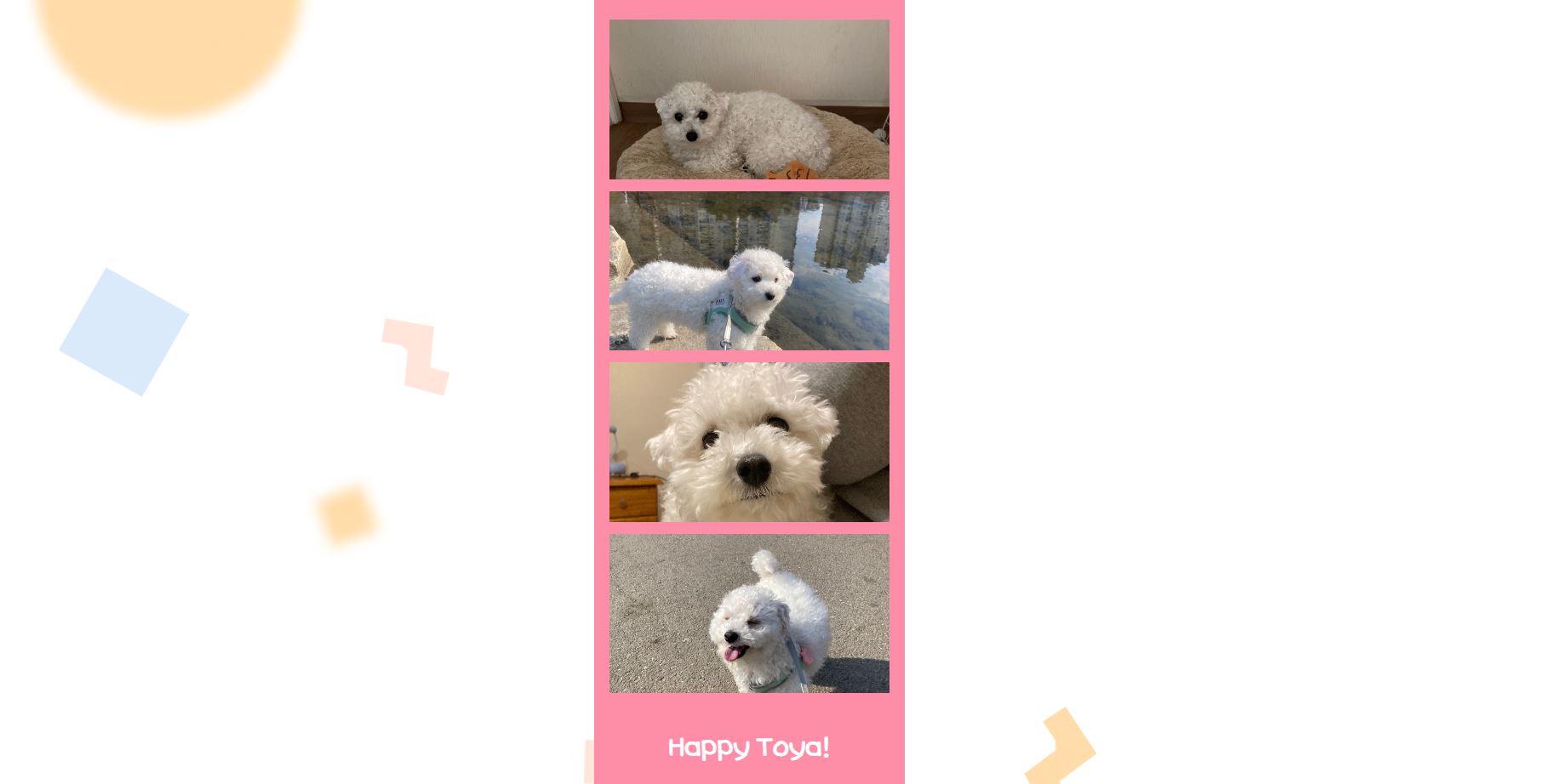 GitHub - myojinnam/Toya4cut