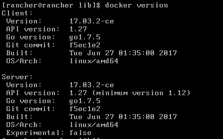level=warning msg="can't get disk usage for /host/var/lib/system-docker ...