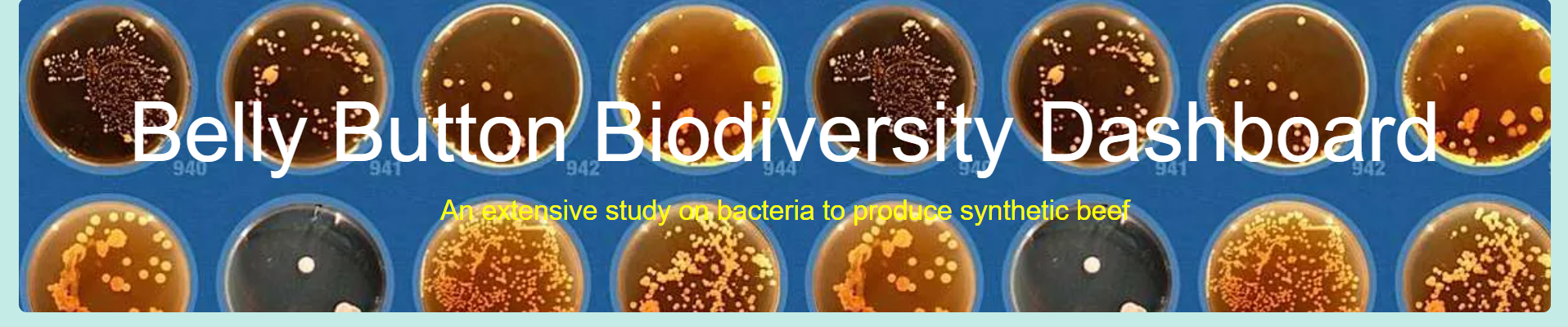 GitHub - singhsmita/Belly_Button_Diversity