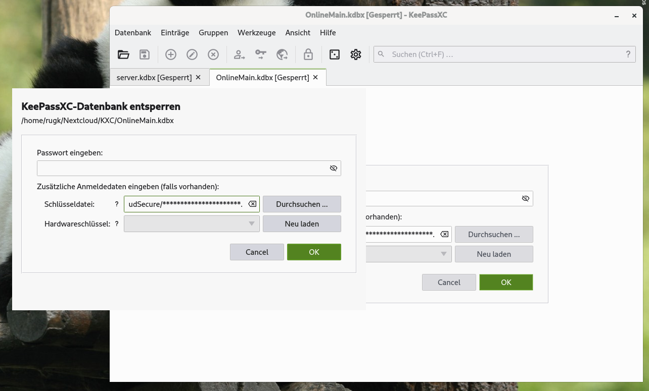 Input window detached/duplicated from main window · Issue #5146 · keepassxreboot/keepassxc · GitHub