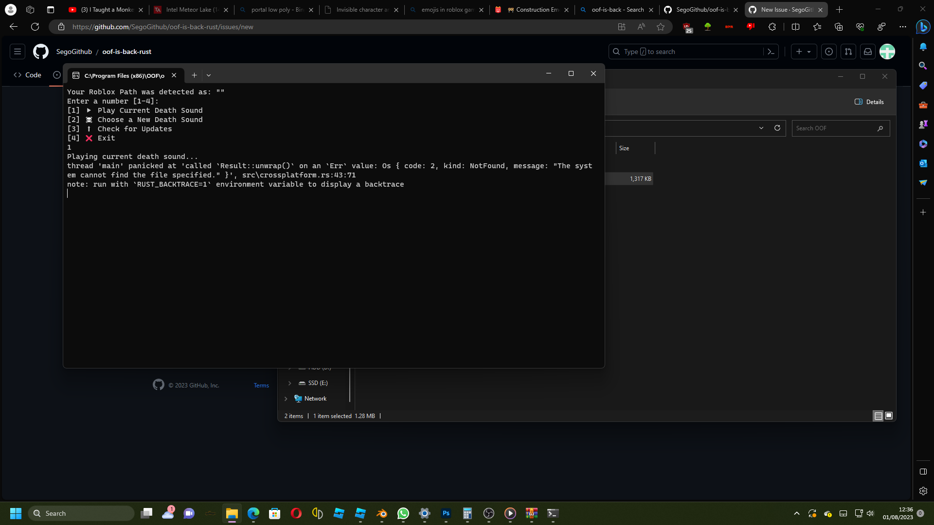Panicked on err value · Issue #3 · SegoGithub/oof-is-back-rust · GitHub