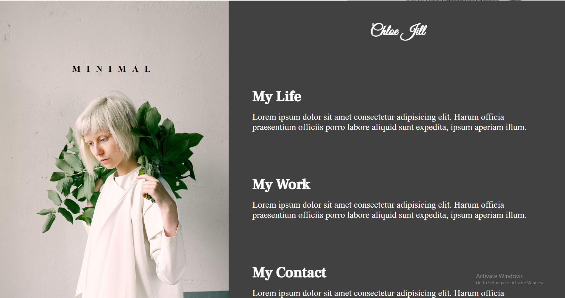 GitHub - fardeenmohd/css-flex-grid-photography-website-template: A ...