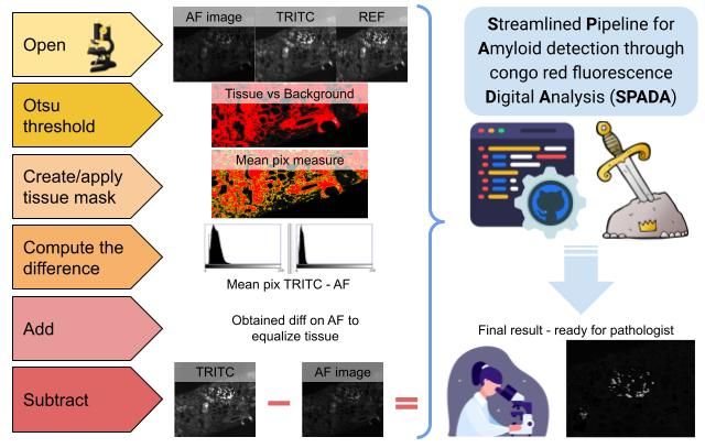 GitHub - Gizmopath/Amyloid: ImageJ script to enhance the detection of amyloid in CR fluorescence