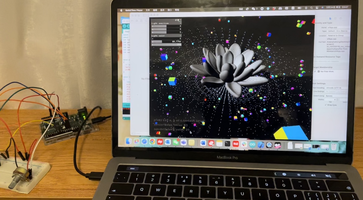 GitHub - Nana-Hong/Interactive-Lotus-Project