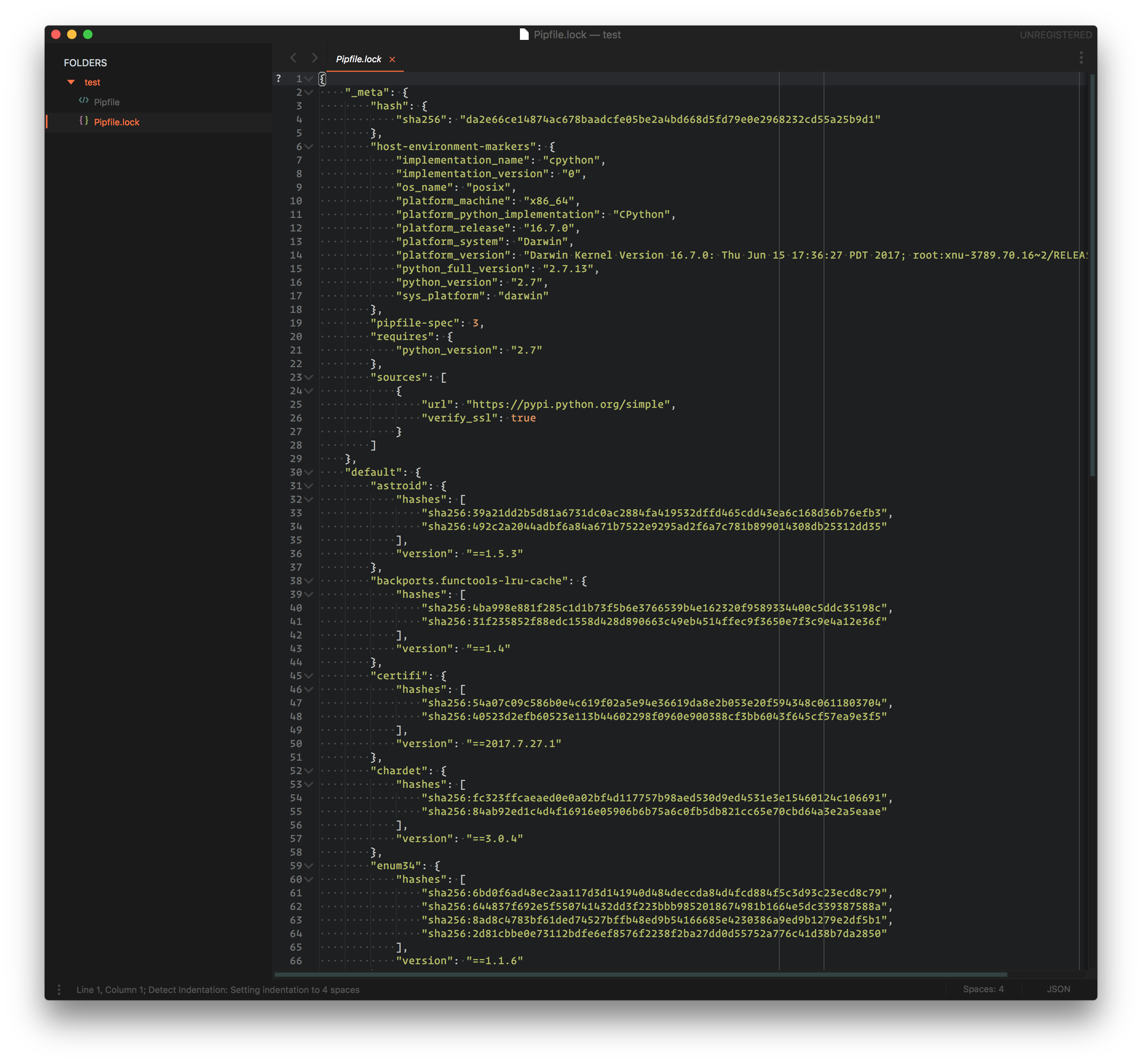 2nd Order Dependencies Missing From Pipfilelock · Issue 541 · Pypapipenv · Github