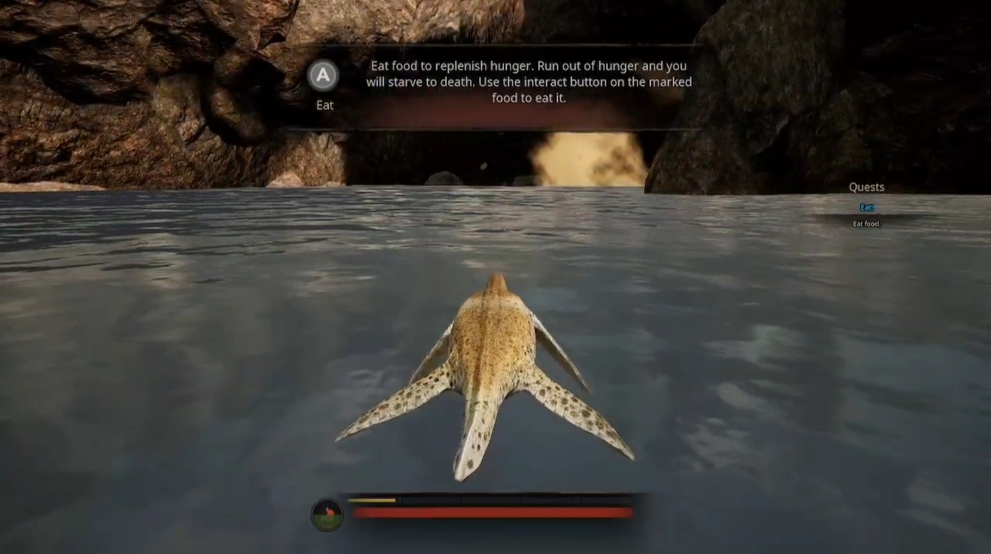 Kaiwhekea Floating Water Bug · Issue 10627 · Alderon Games