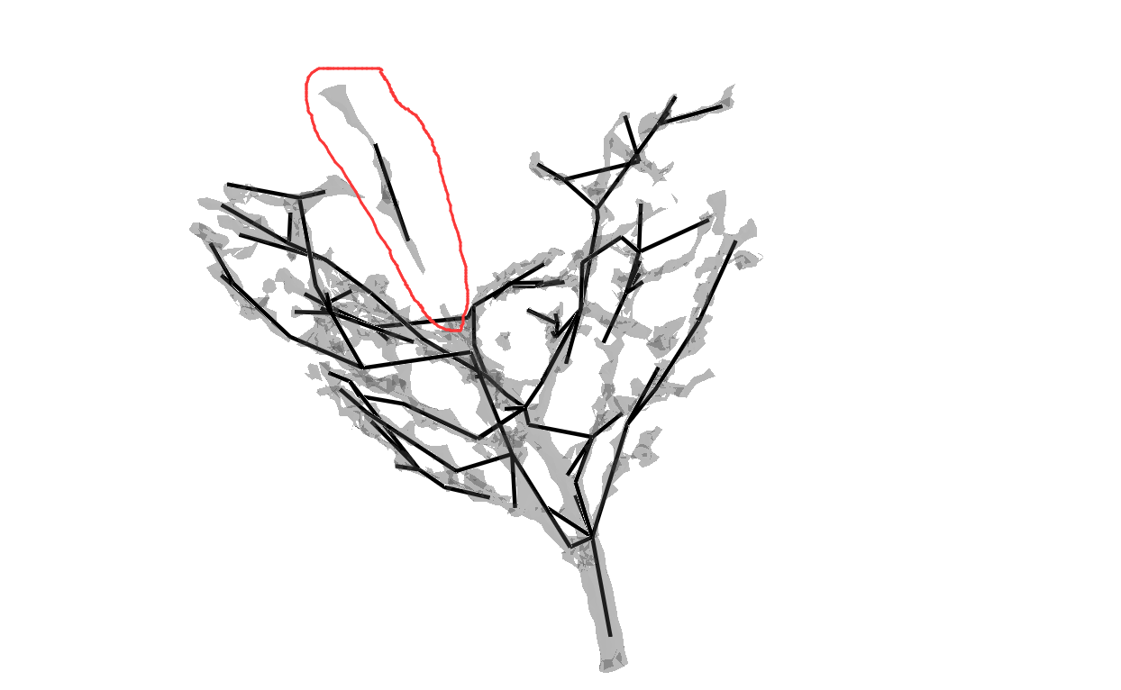 Remove excess and fragmented shoots from the skeleton · Issue #40 · navis-org/skeletor · GitHub