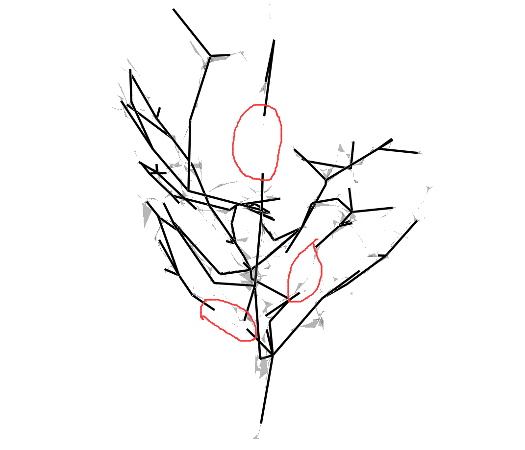 Remove excess and fragmented shoots from the skeleton · Issue #40 · navis-org/skeletor · GitHub