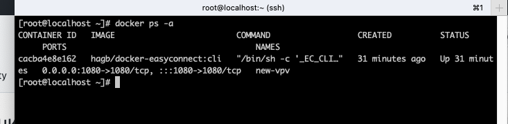 docker-easyconnect 登录成功 浏览器通过代理无法访问vpn资源 · Issue #104 · docker-easyconnect/docker-easyconnect ...
