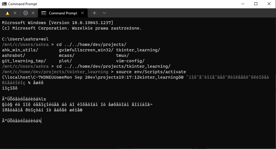 Entering python's virtual environment results in all the letters to be ...