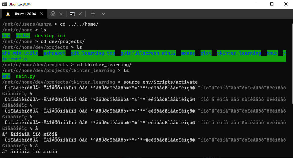 Entering python's virtual environment results in all the letters to be ...