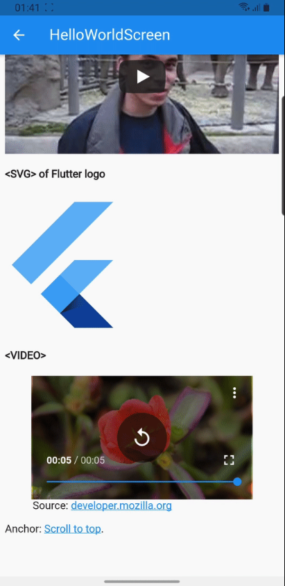 Video Not Occupying Full Width Of The Container · Issue 885 · Daohoangson Flutter Widget From