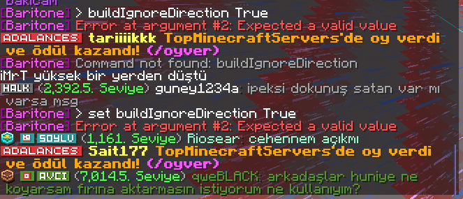 Please add a brief but descriptive title · Issue #4052 · cabaletta/baritone · GitHub