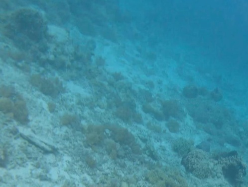 GitHub - riptideauv/underwater-color-correction: sualtı renk düzeltme kodu