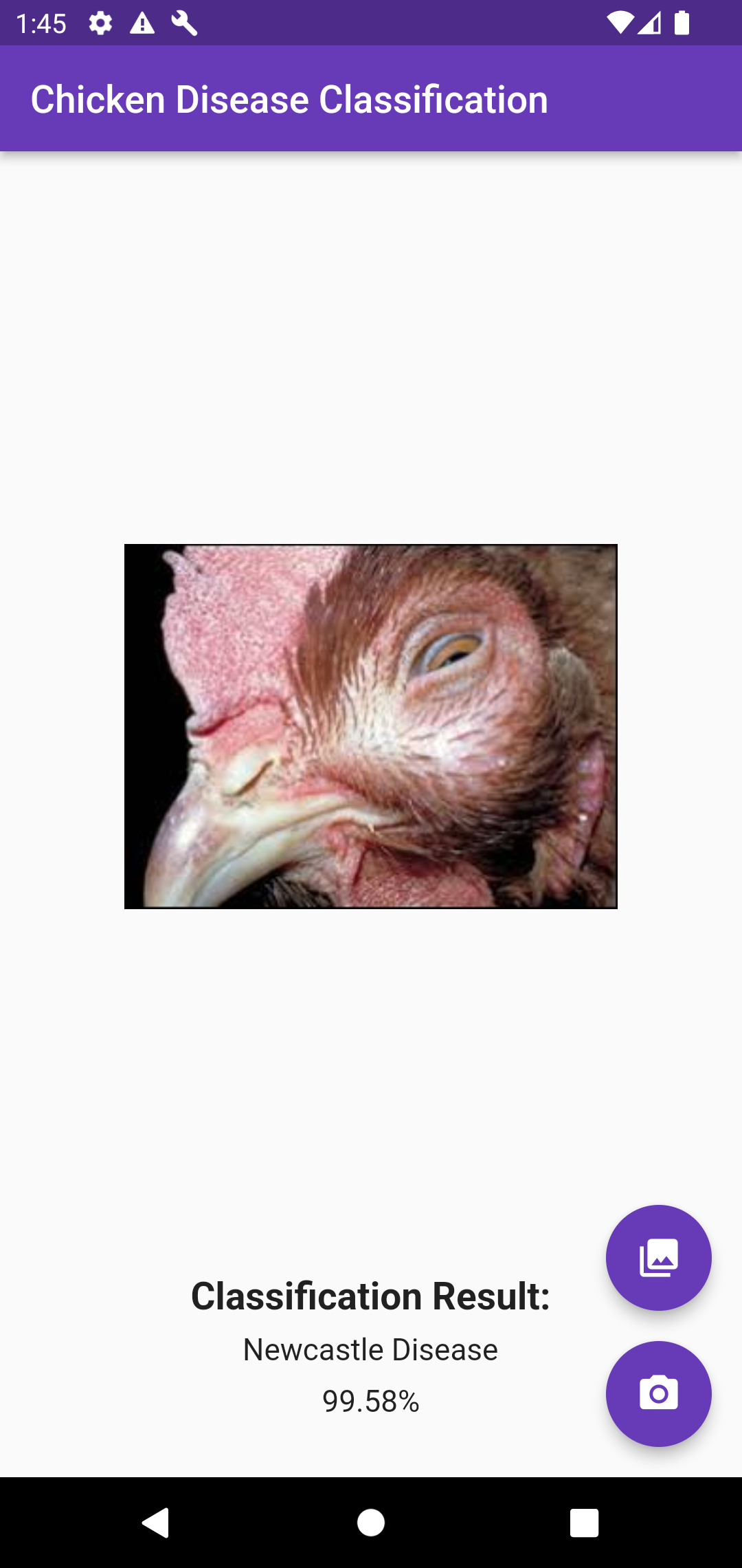 GitHub - DarwinCamahalan/chicken-diesease-image-classification: A ...