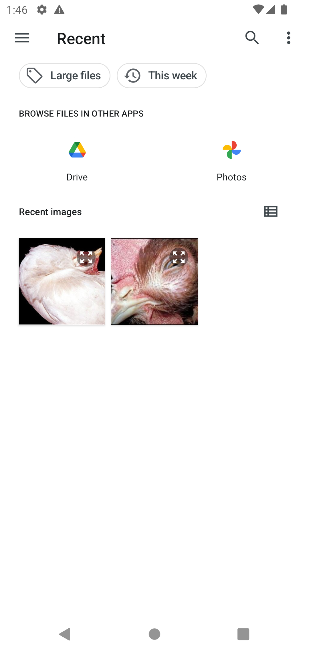 GitHub - DarwinCamahalan/chicken-diesease-image-classification: A Flutter Mobile Application ...