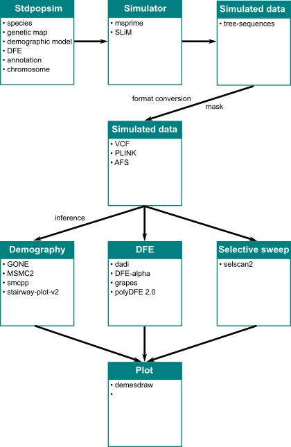 Refactor repo structure? · Issue #63 · popsim-consortium/analysis2 · GitHub