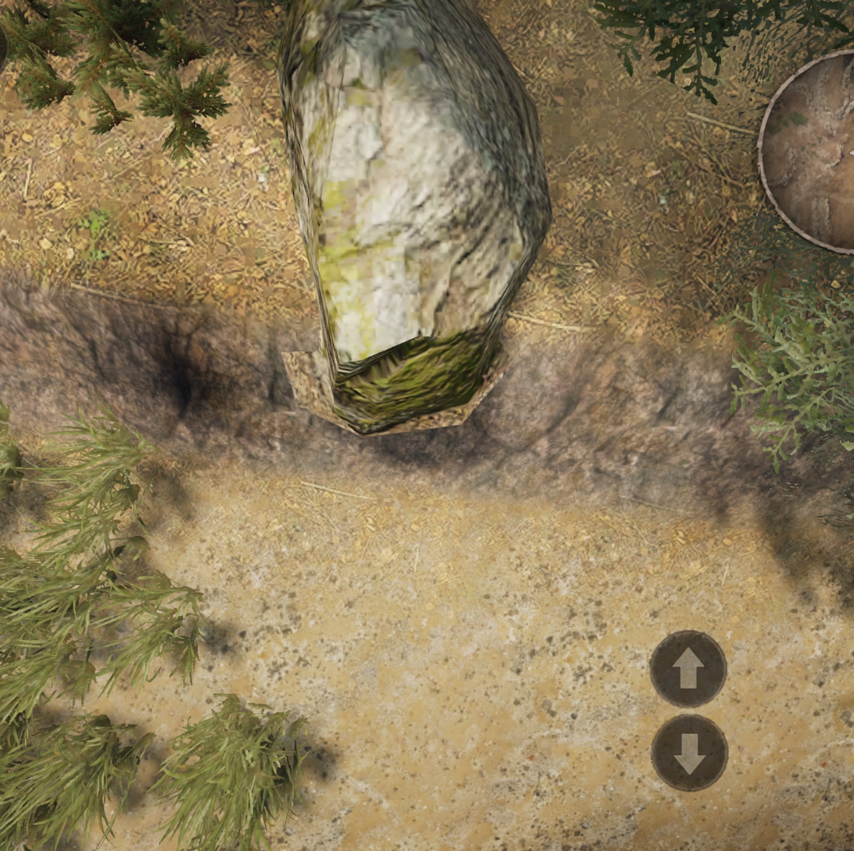 Rock at Dark Woods Hangs Off an Edge — Map Bug/Visual Issue · Issue #11208 · Alderon-Games ...