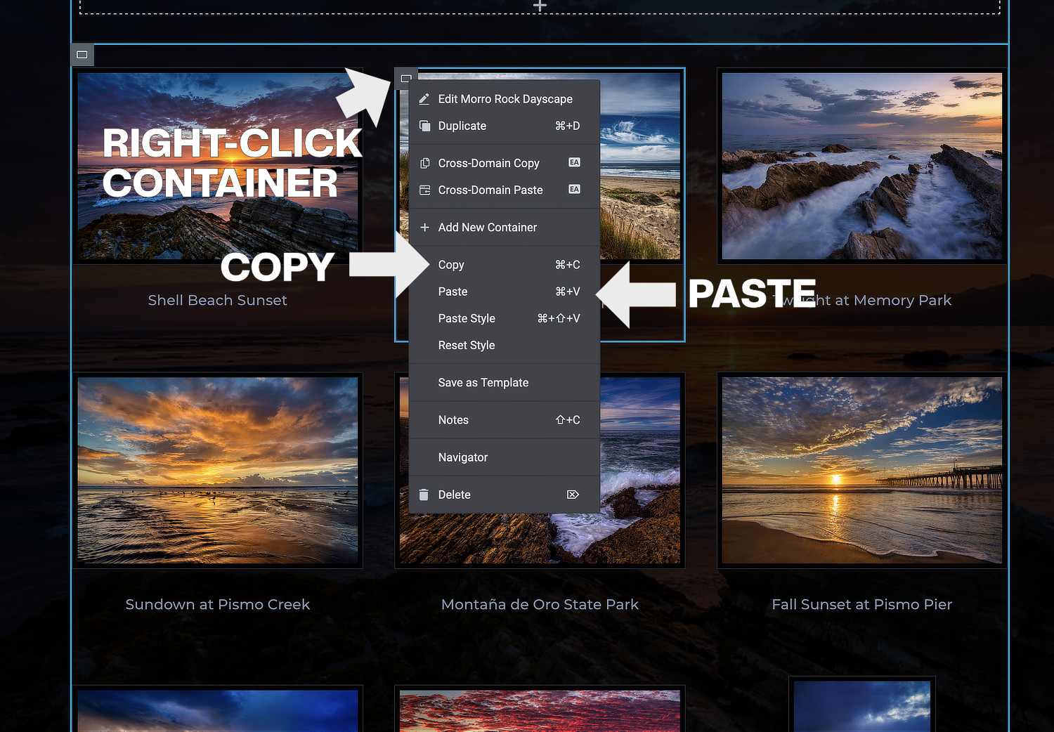 ⛔ 🚀 Feature Request: Add more granular options to copy & paste a ...
