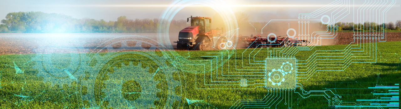 GitHub - agampawan1/Agricultural-Product-Classification: Machine ...