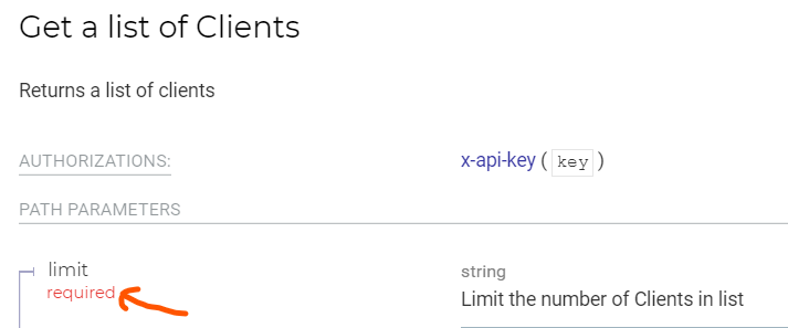 Using stand-alone Query Params shows as `required` with `false` · Issue ...