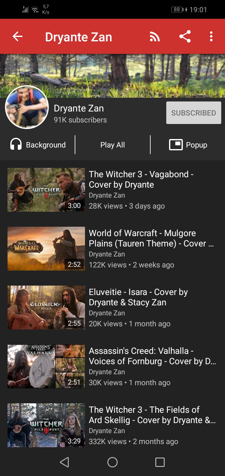 NewPipe Playlists · Issue #6523 · TeamNewPipe/NewPipe · GitHub