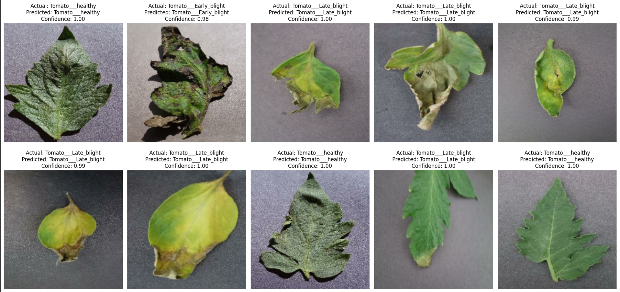 GitHub - AnriiGegliuk/Plant_Disease_CNN: Plant Disease Classification using Deep Learning