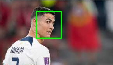 GitHub - Shan-Lee2k/Face-Recognition-with-Transfer-Learning: Using Transfer Learning to Learn ...