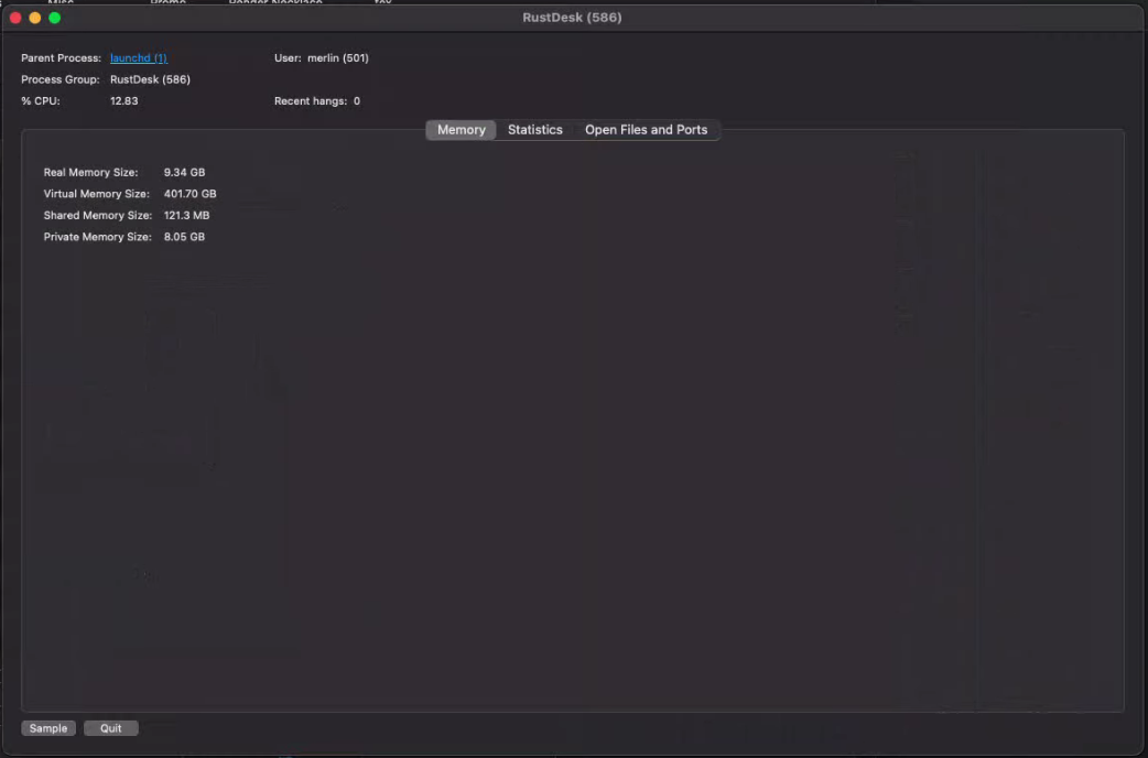 400+ GB Memory Useage · rustdesk rustdesk · Discussion #6108 · GitHub