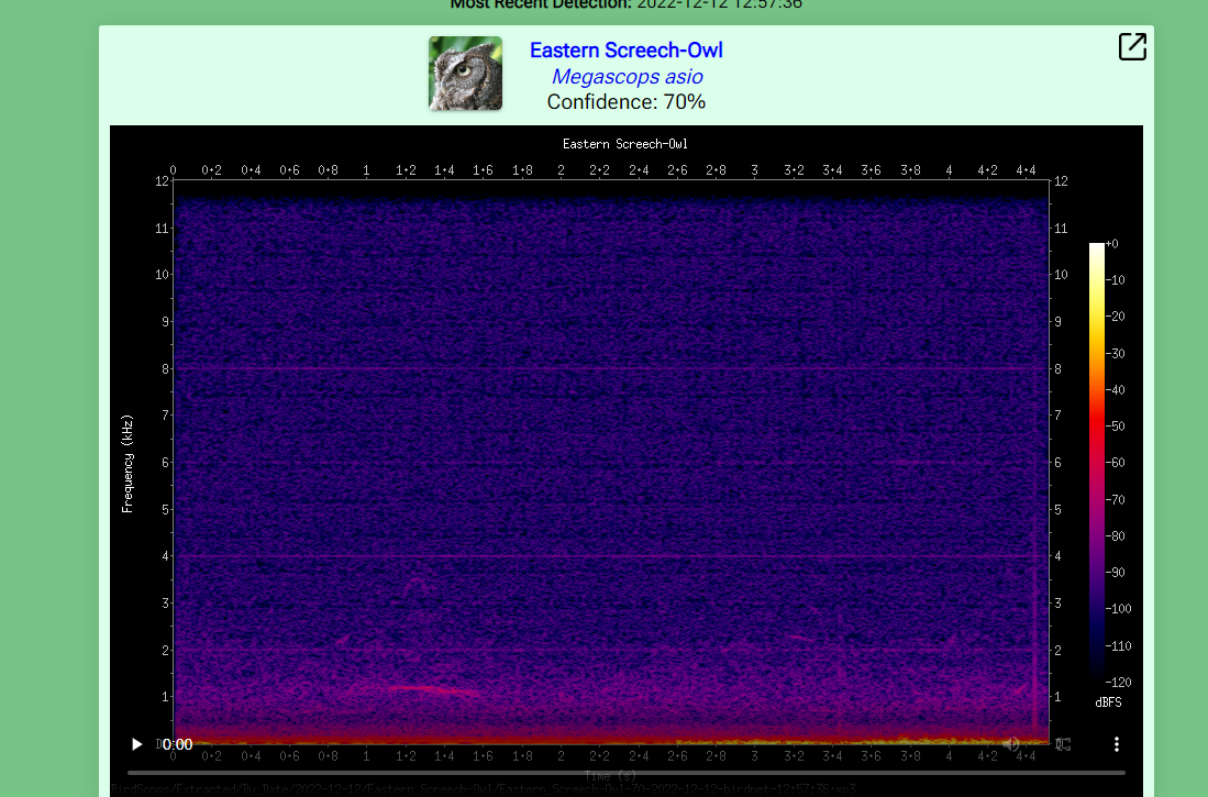 False detections · Issue #672 · mcguirepr89/BirdNET-Pi · GitHub