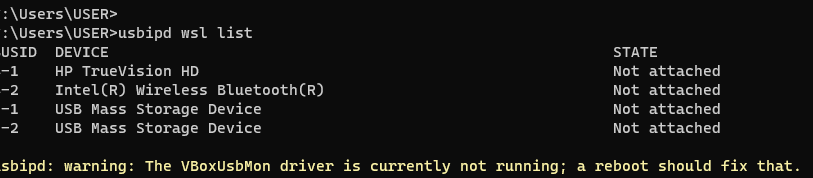 usbipd: warning: The VBoxUsbMon driver is currently not running; a reboot should fix that ...