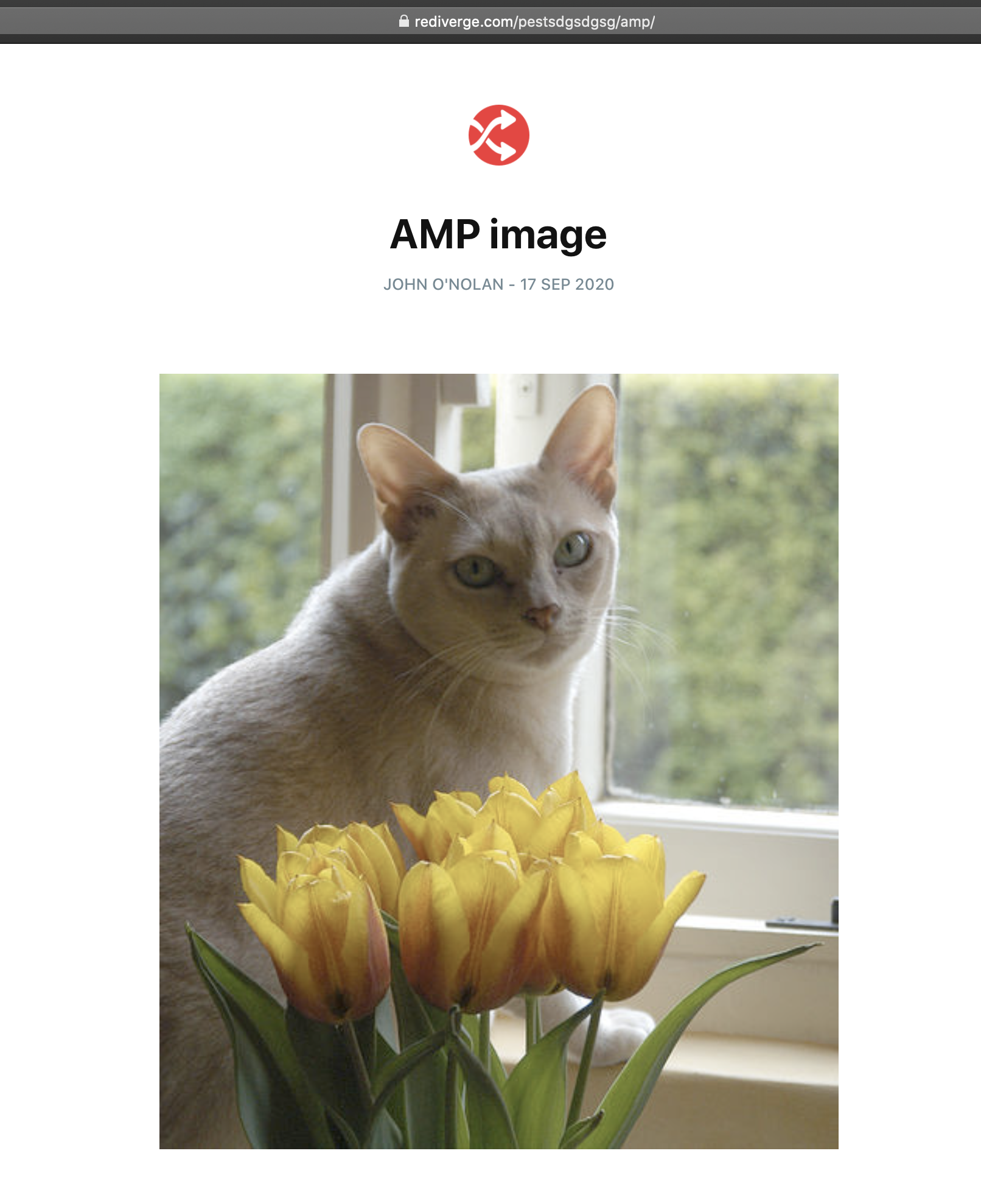 AMP Validation Error: A mandatory attribute is missing form an HTML tag · Issue #11920 ...