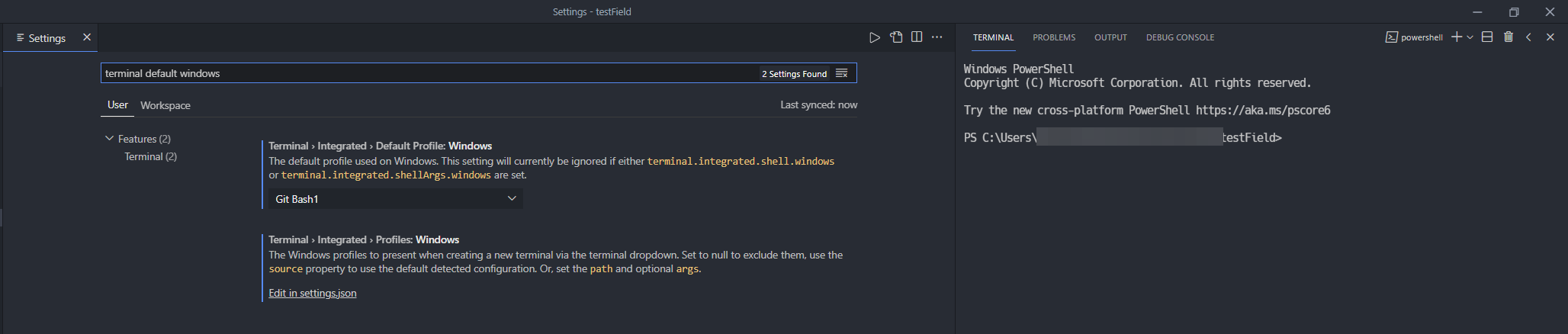 [win:terminal] Wrong default shell on startup/workspace change · Issue ...