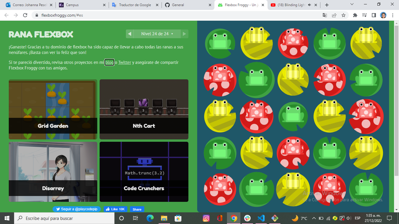 GitHub - JPESE/Flexbox-ranita: Alcance los 24 niveles del juego