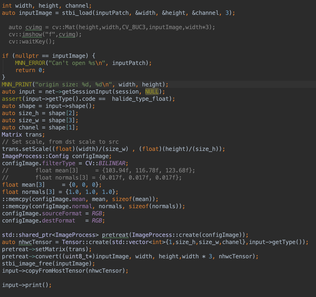 MNN 图像预处理后 调用 tensor print ，中间打印出来很多 0 ，这个正确吗？ · Issue #1817 · alibaba/MNN · GitHub