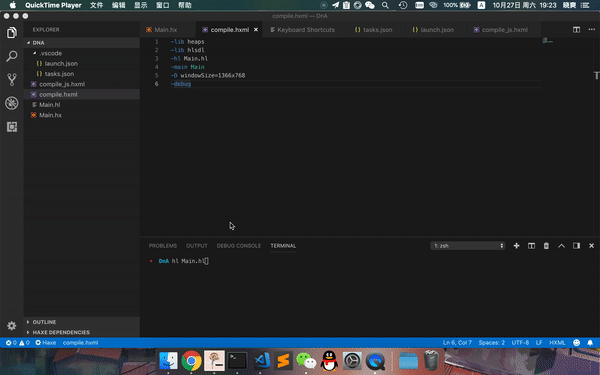 Hashlink doesn't render without moving or resizing window · Issue #200 · HaxeFoundation/hashlink ...