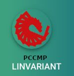 GitHub - PaulChern/LINVARIANT