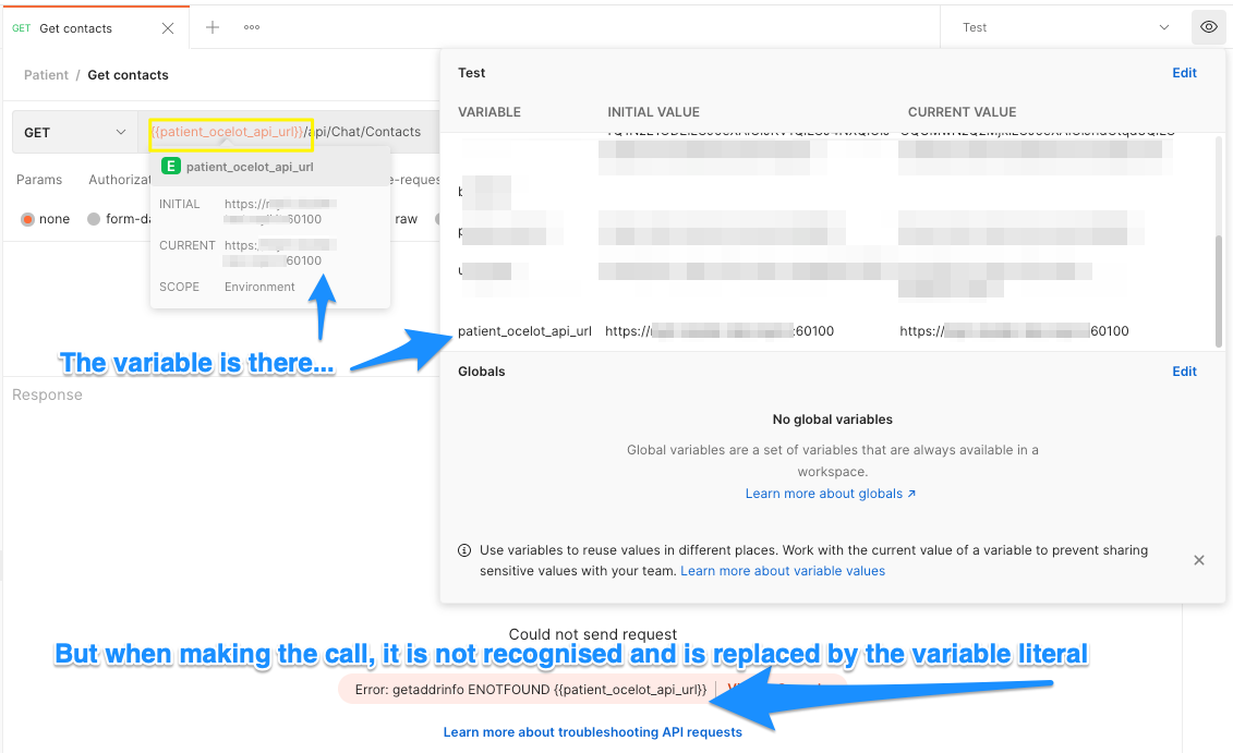 Mac 8.0.7 client: environment variable exists, but is not replaced by ...