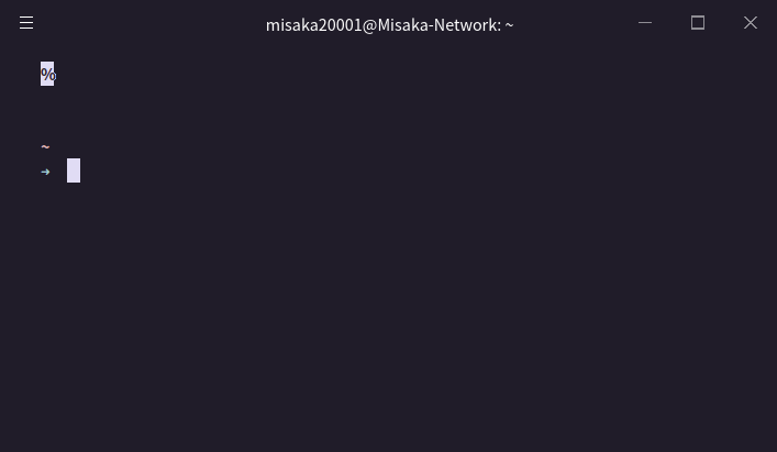 After opening the terminal,% will appear · Issue #4803 · vercel/hyper · GitHub