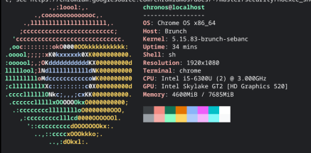 Significant performance loss with newer ChromeOS version · Issue #1789 · sebanc/brunch · GitHub
