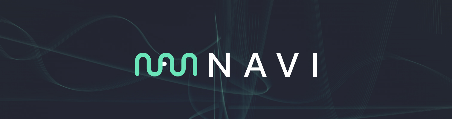 Navi Protocol · GitHub