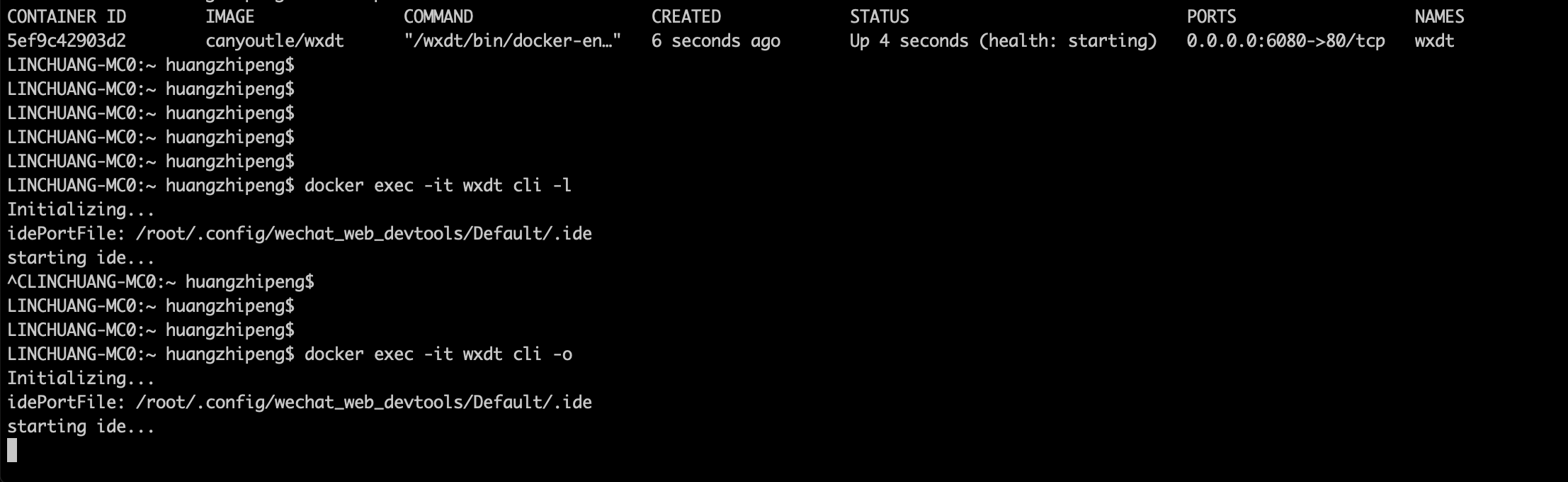 docker启动方式一直卡在starting ide... · Issue #258 · cytle/wechat_web_devtools · GitHub
